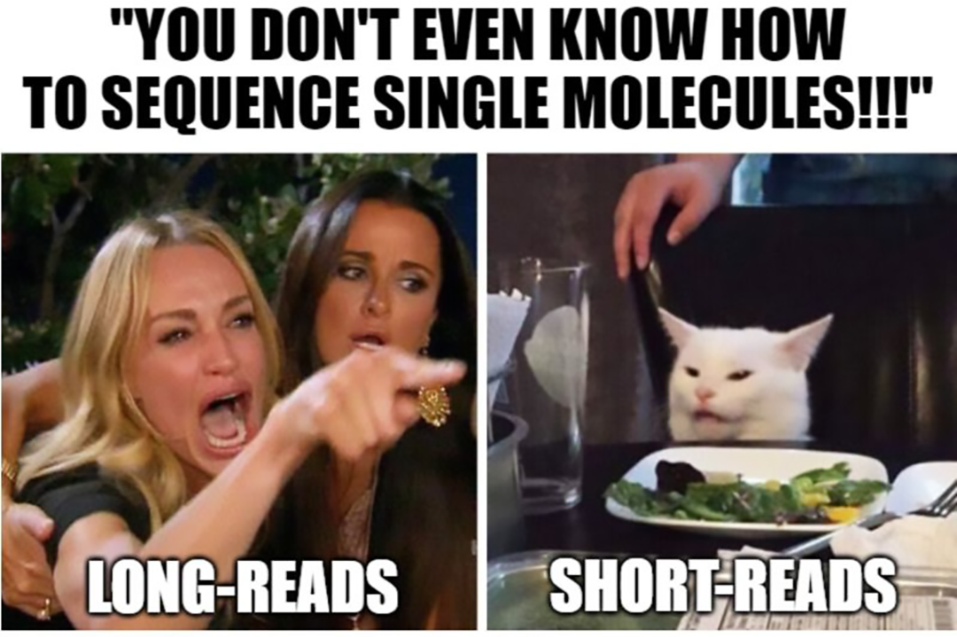 Everything you ever wanted to know about cluster based and single ...