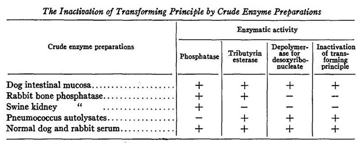 Oswald Avery Colin Macleod And Maclyn Mccarty Visible Proofs: Forensic