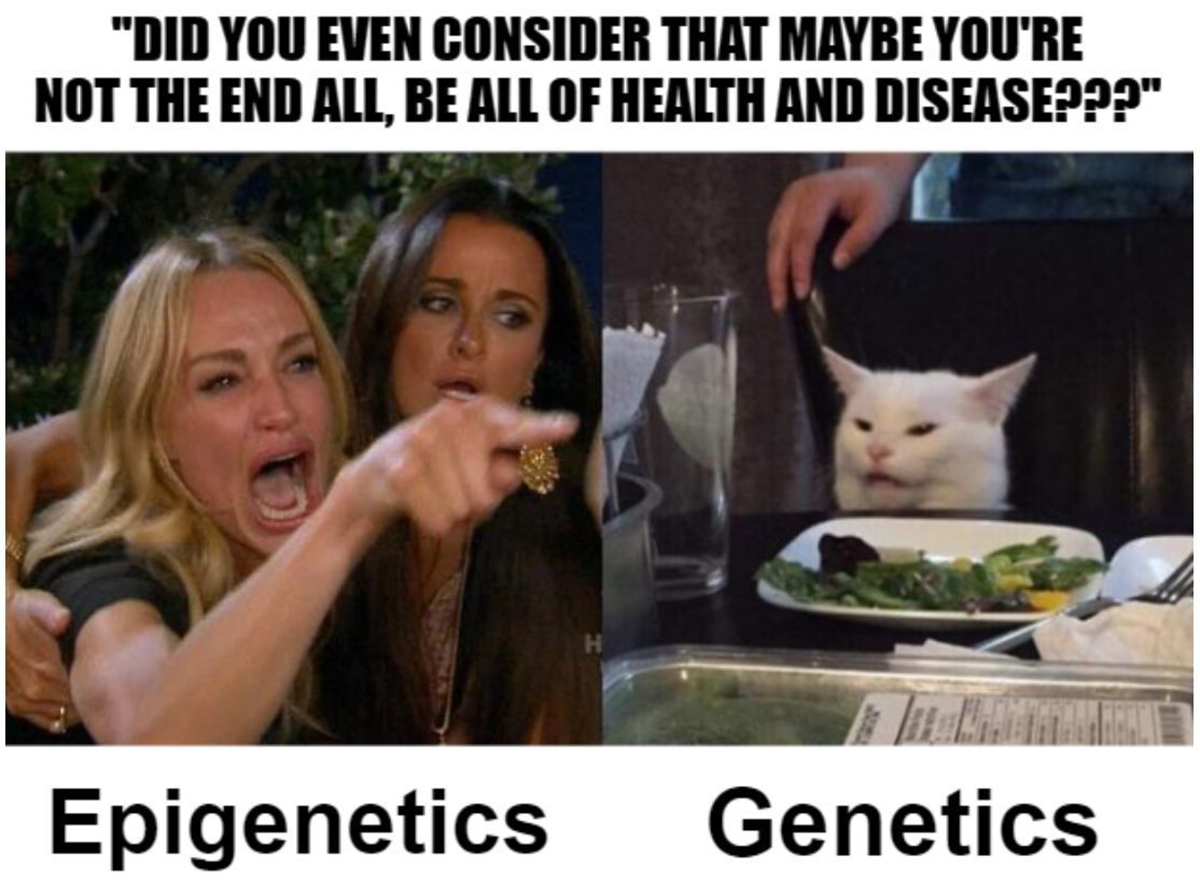 Epigenetics Memes DNA Methylation Atlas Of The Mouse Brain At