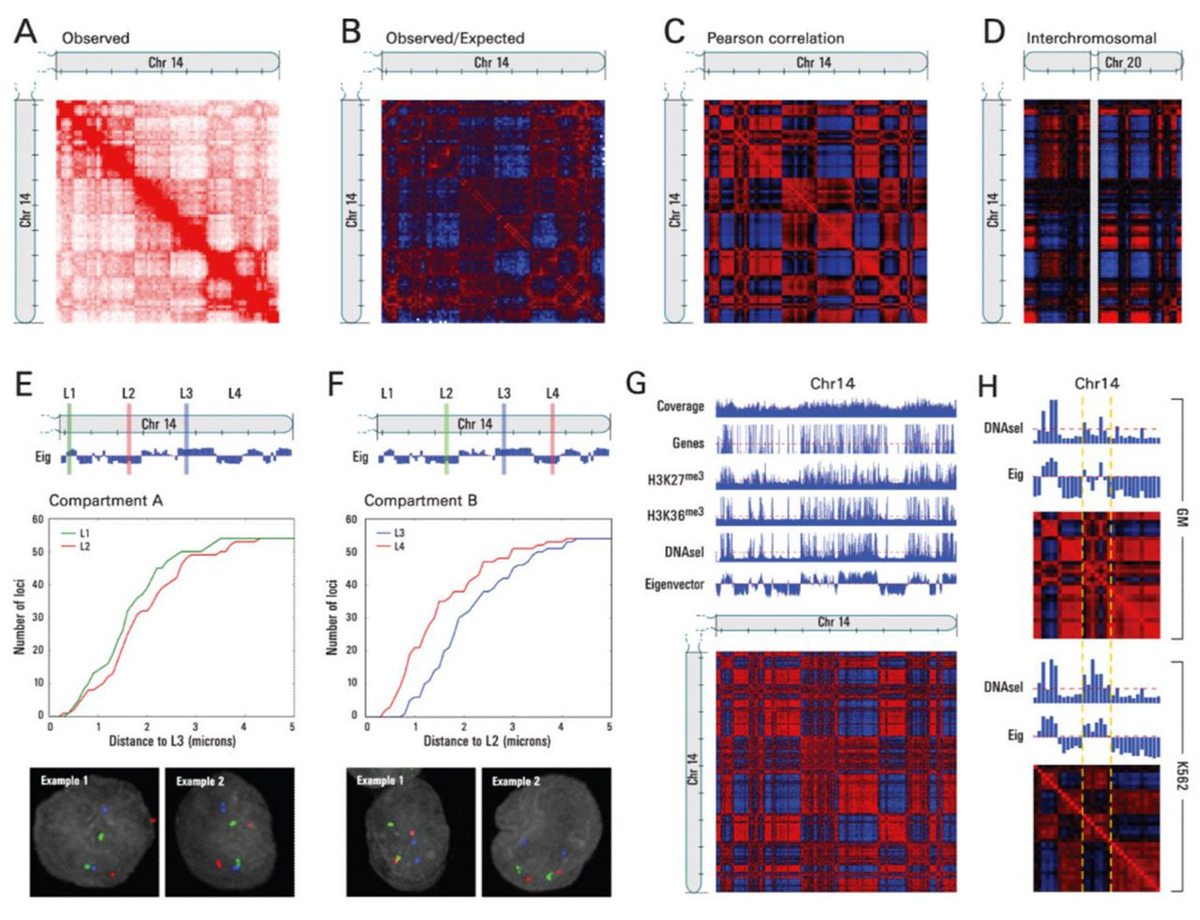 In 2009, high throughput sequencing gave us our first glimpse of the 3 ...